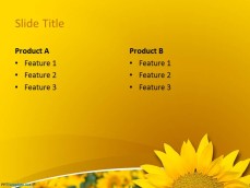 Free Sunflower PPT Template