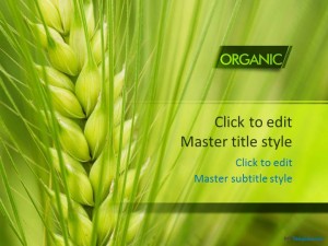 Free Wheat PPT Template