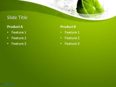 Free Fresh Lemon PPT Template