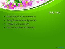 Free Springtime PPT Template