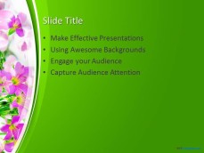 Free Springtime PPT Template