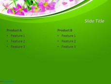 Free Springtime PPT Template