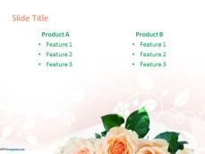 Free Roses PPT Template