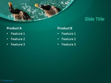 Free Duck PPT Template